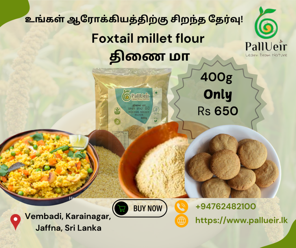 Foxtail Millet Flour | Thinai Flour | தினை மா | 400g |100% Gluten Free ...