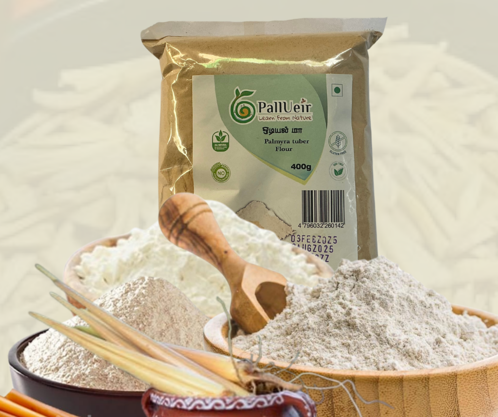 Palmyrah Tuber Flour 400g | Odiyal ma | ஒடியல் மாவு | thal ala pitti ...