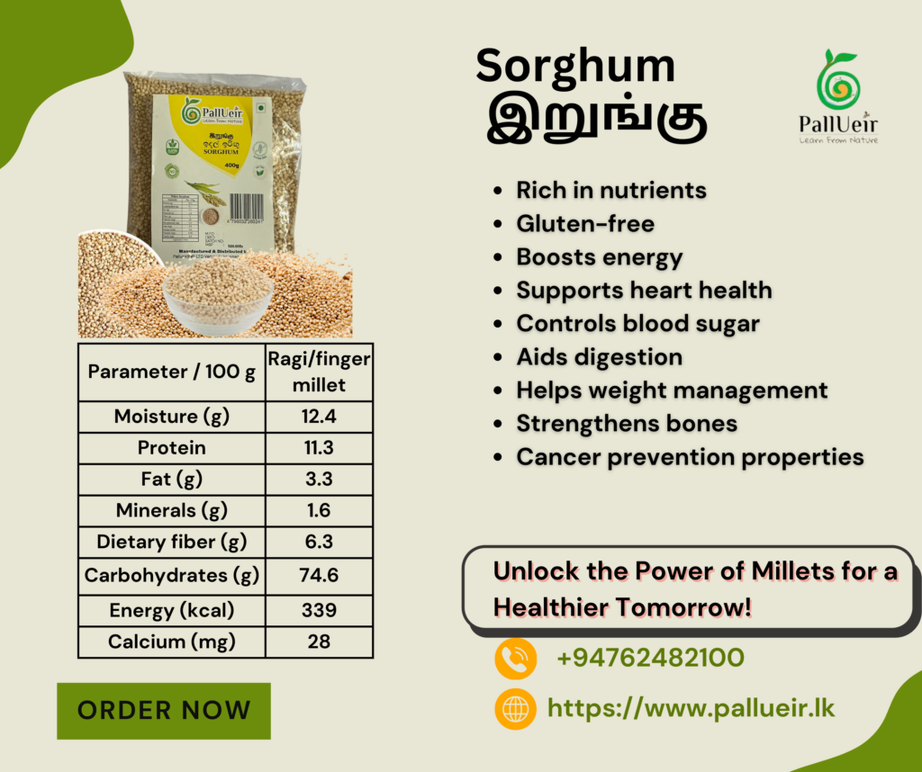 Sorghum Millet | Cholam | இறுங்கு | 400g | 100% Gluten Free & Natural ...